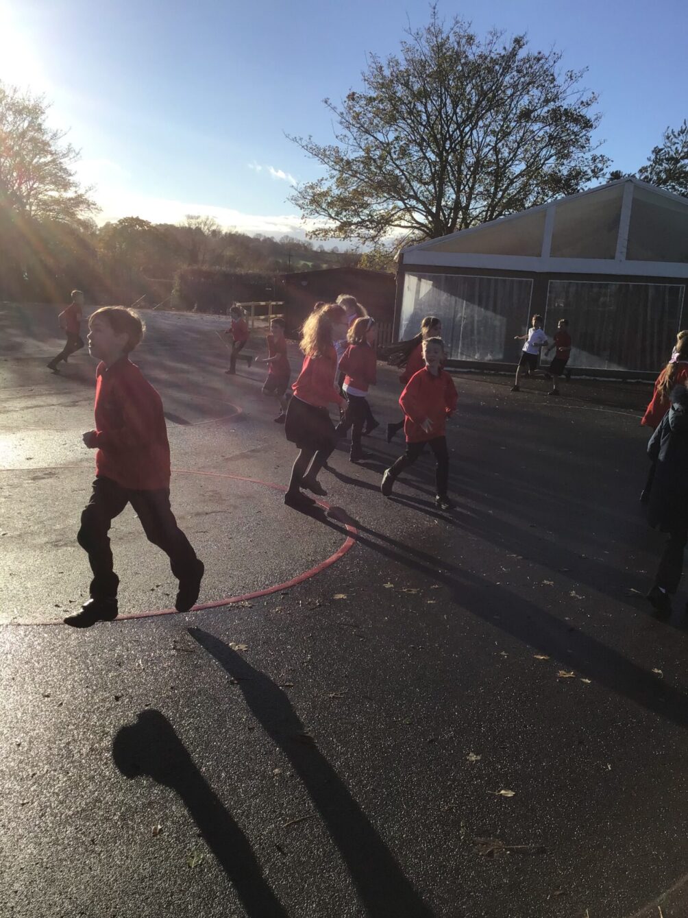 Science Investigation | Brookside Academy