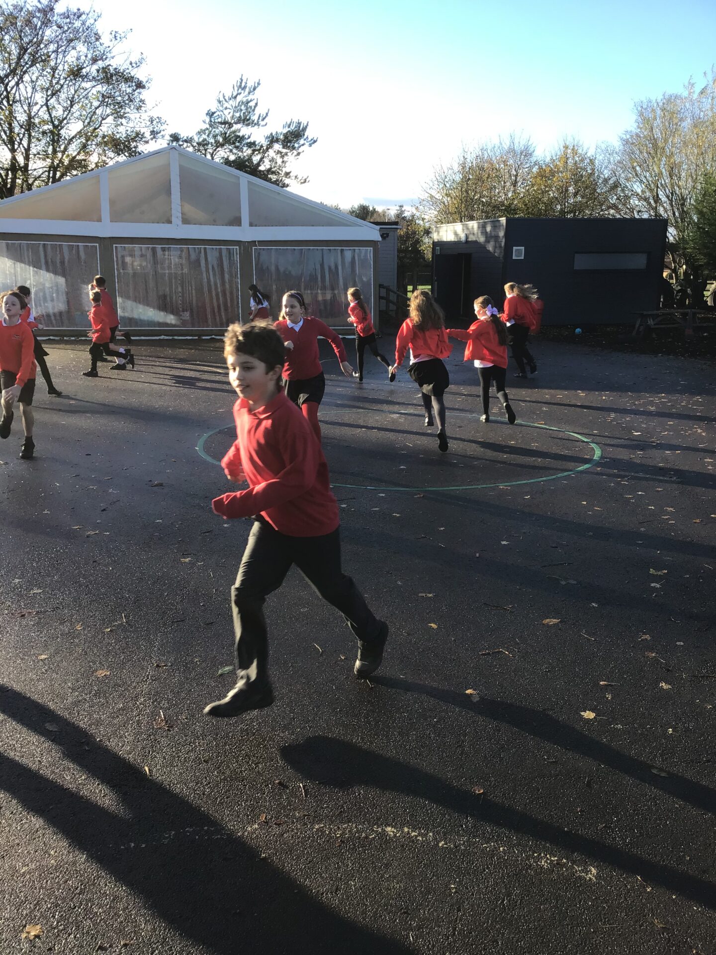 Science Investigation | Brookside Academy