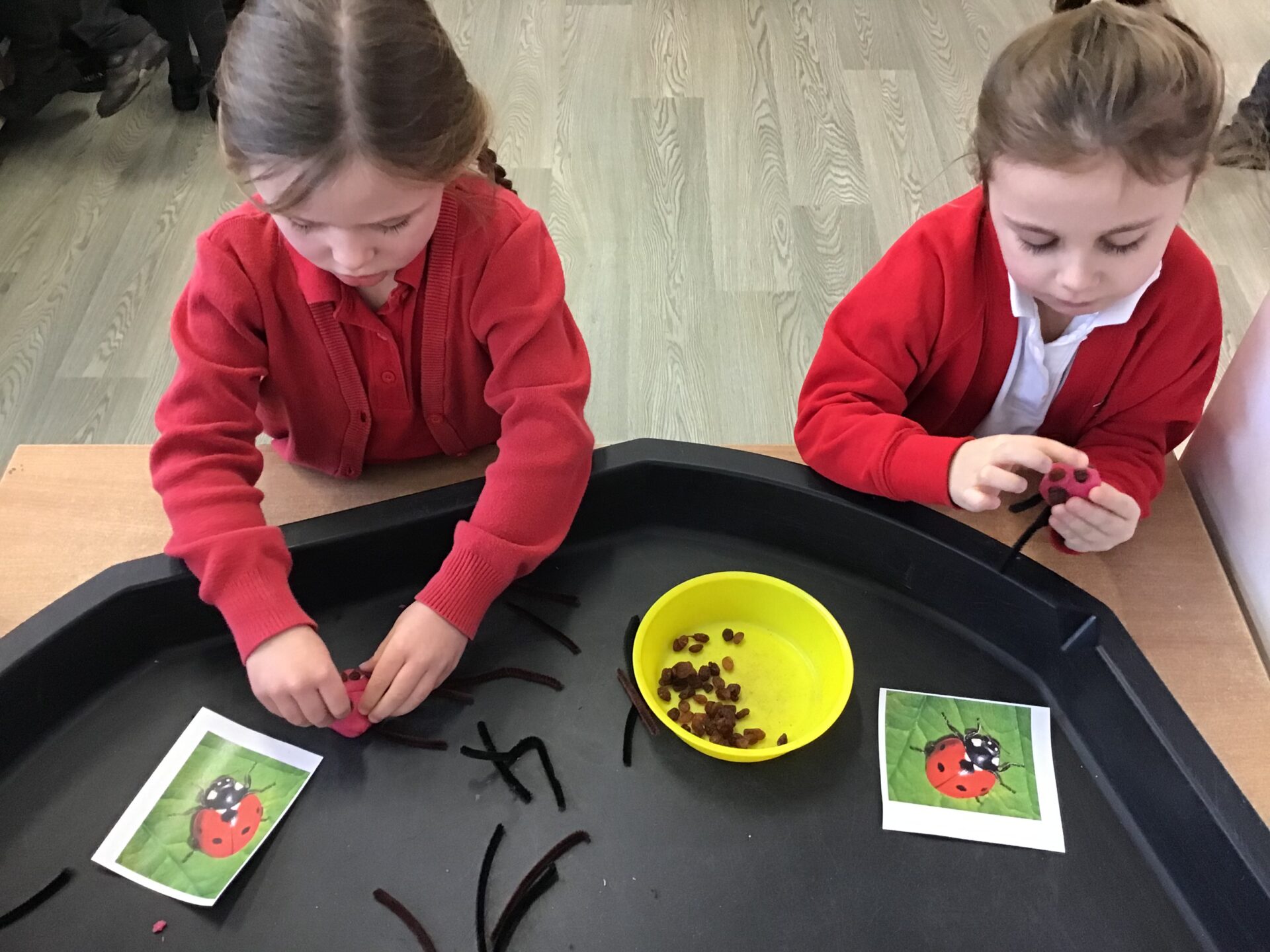 Minibeasts & Math’s | Brookside Academy